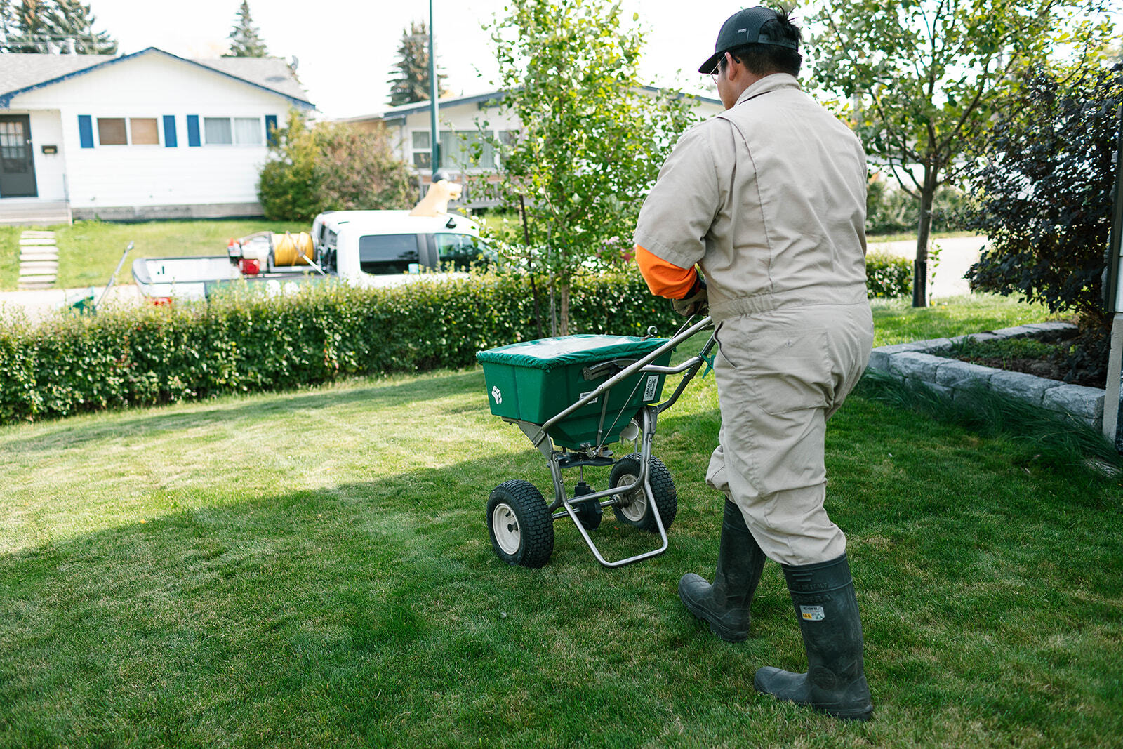 Best Grass Types for Canada and How to Care for Them